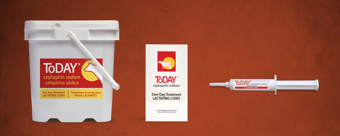 Boehringer Ingelheim ToDAY® (cephapirin sodium) - AR - MO - Powell Feed ...